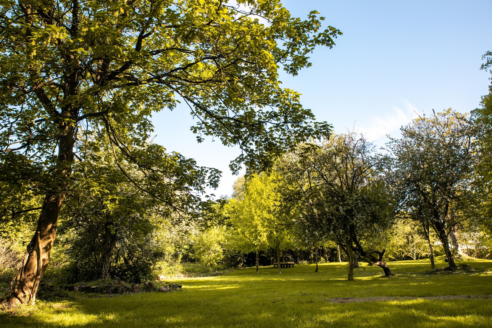 Hilton London Heathrow Airport Terminal 5